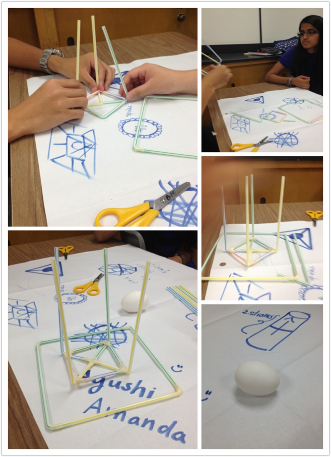 Grace's Blog: SES egg lander